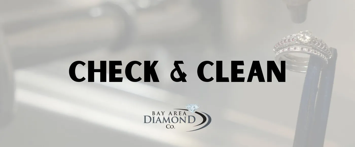 Complimentary Check + Clean