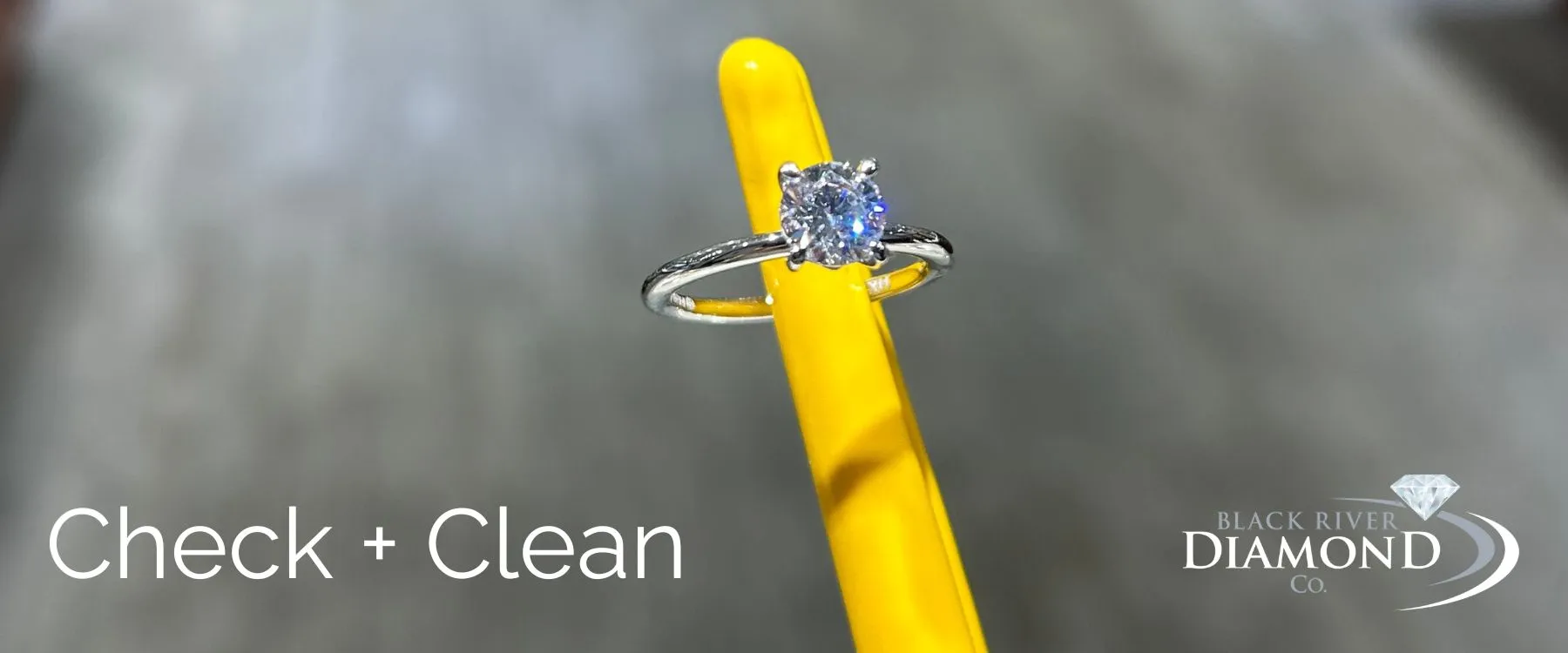 Complimentary Check + Clean