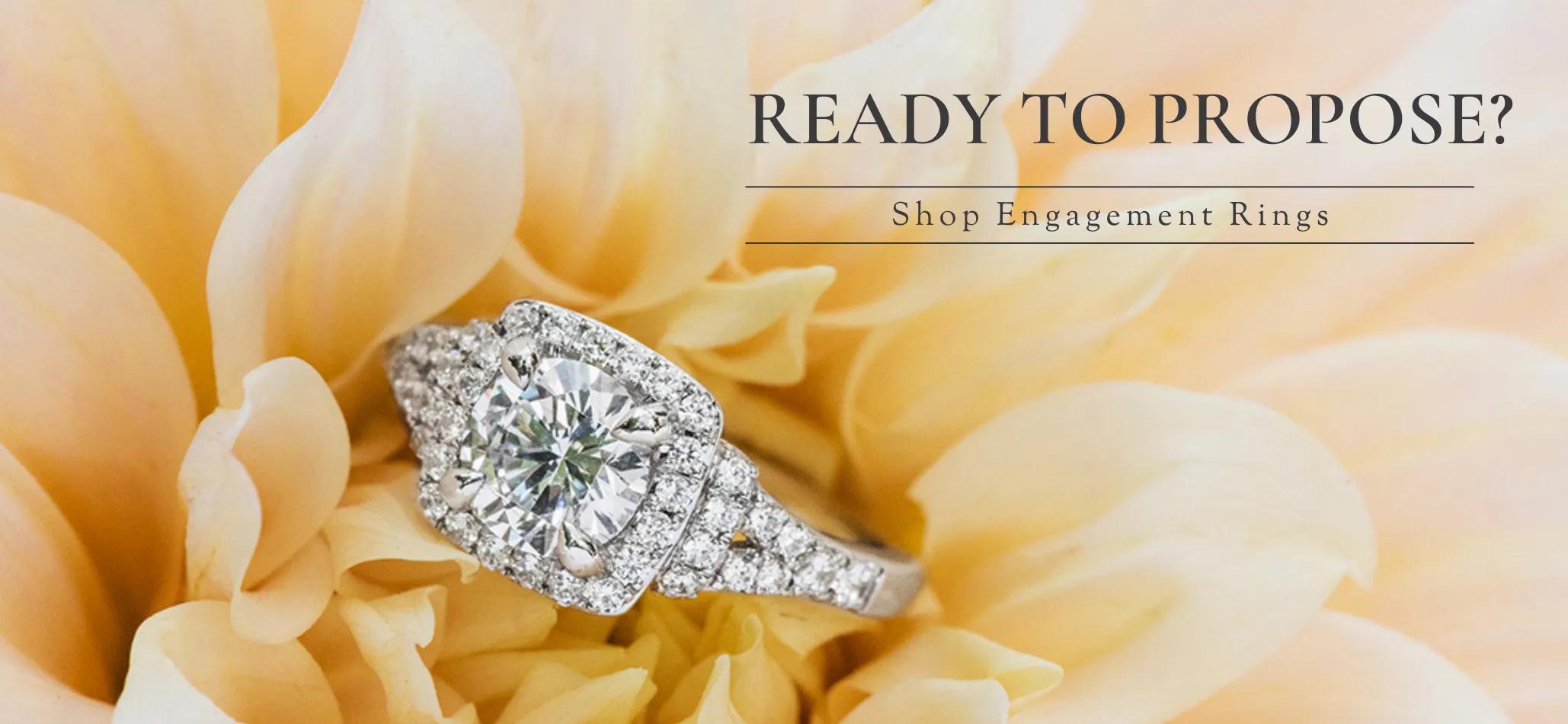 Harris Jeweler - Troy's Home for Fine Jewelry, Diamonds & Engagement Rings