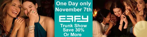 Effy Trunk Show2024