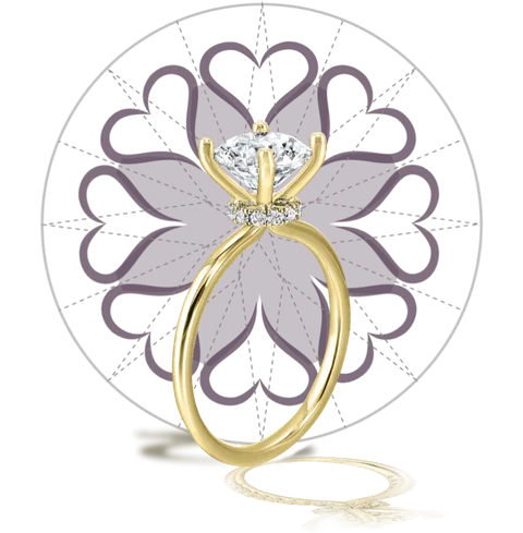 The Perfect Love - Overview