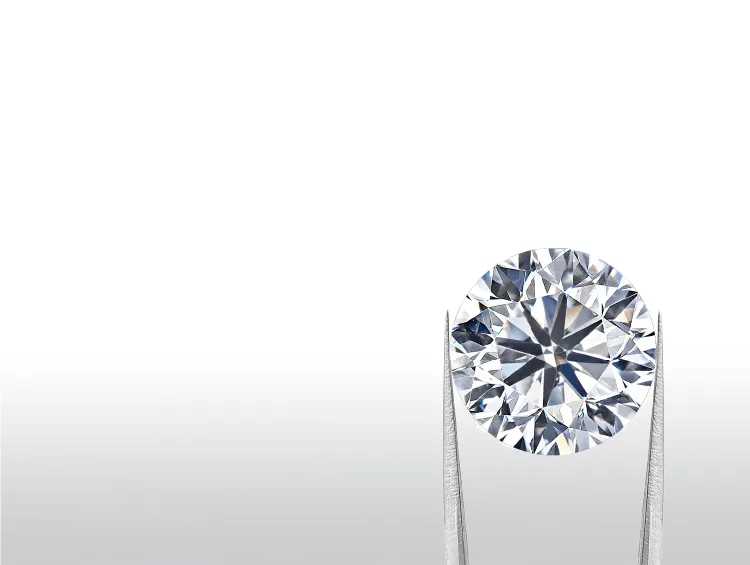 S.E. Needham Jewelers - Logan's Home for Fine Jewelry, Diamonds ...